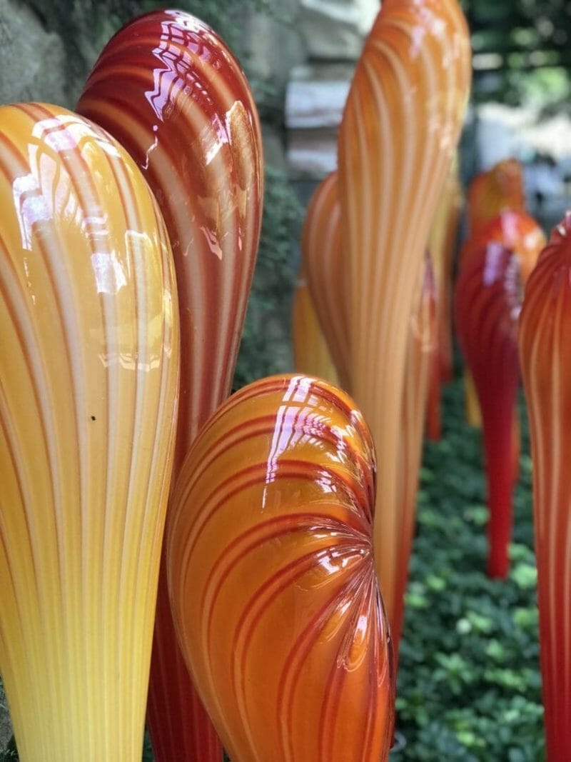 A Chihuly Exhibit at the Biltmore - Part 2 - County Road 407