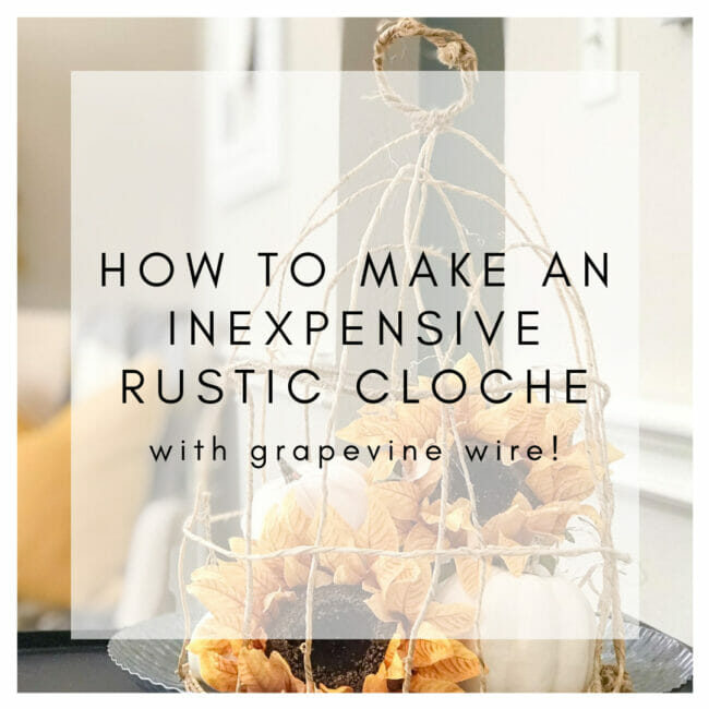 How To Make An Inexpensive Rustic Cloche - County Road 407